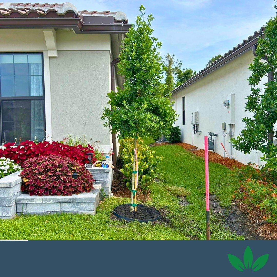 Explore Our Gallery: Evergreen Landscape's Project Showcases