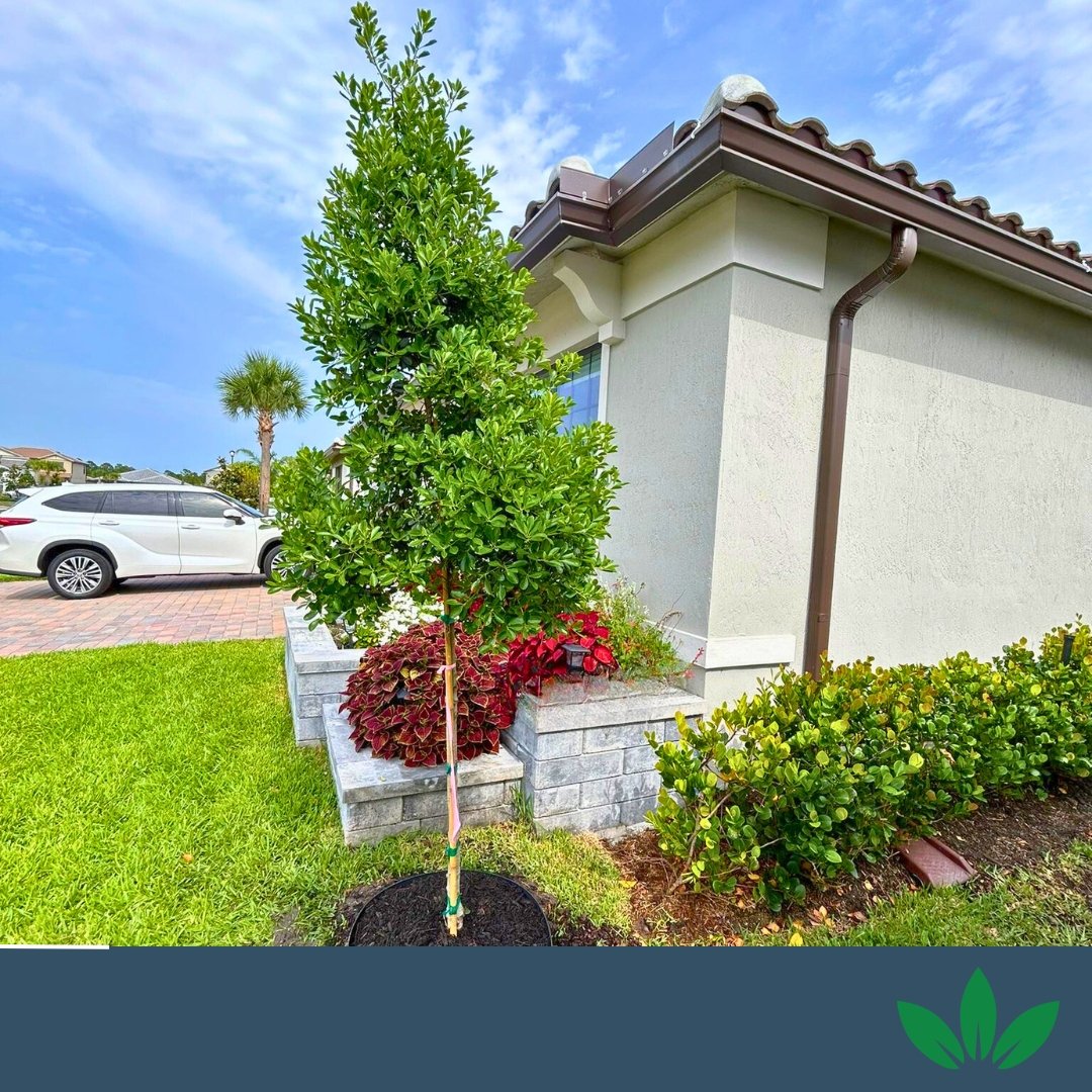 Professional Landscaping Services Company.